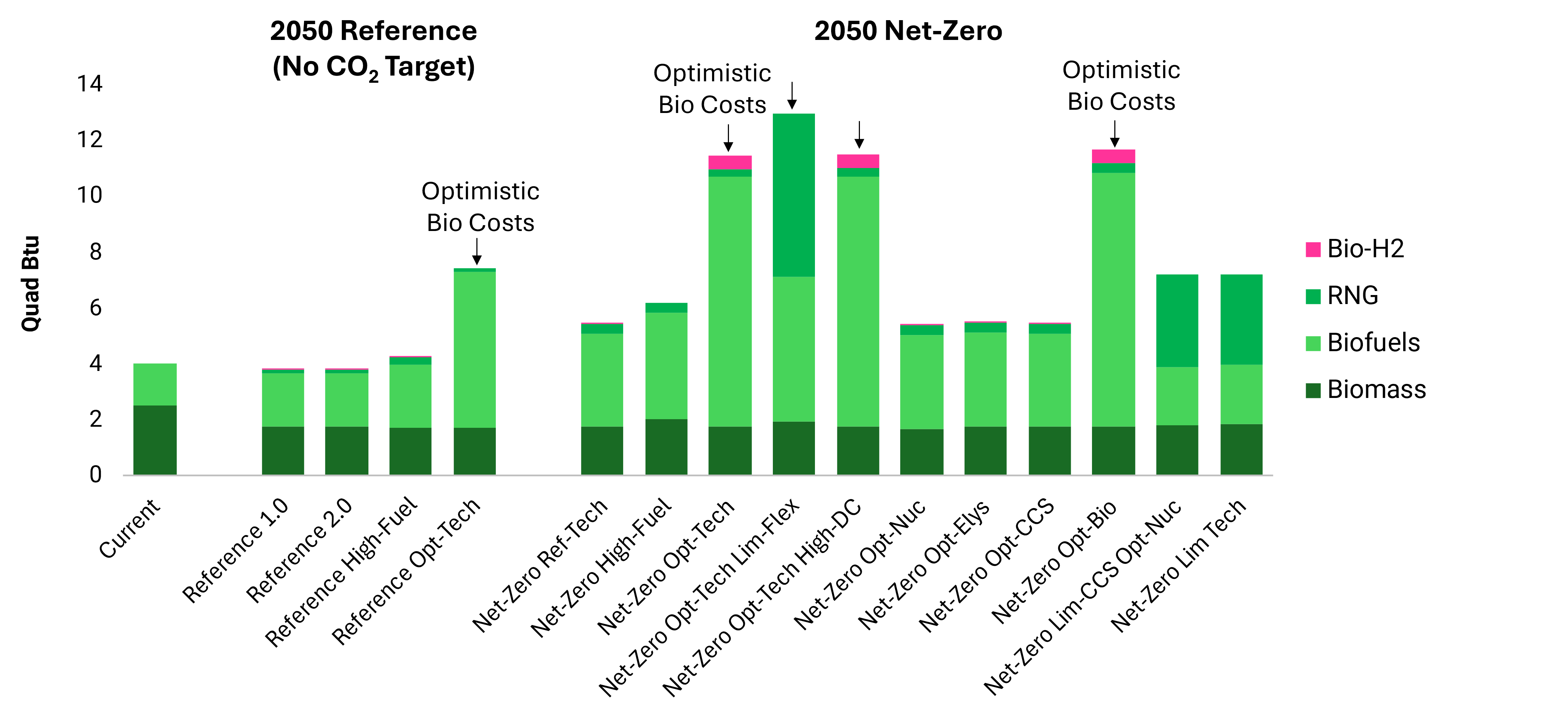 Bioenergy and Carbon Management | LCRI Net-Zero 2050