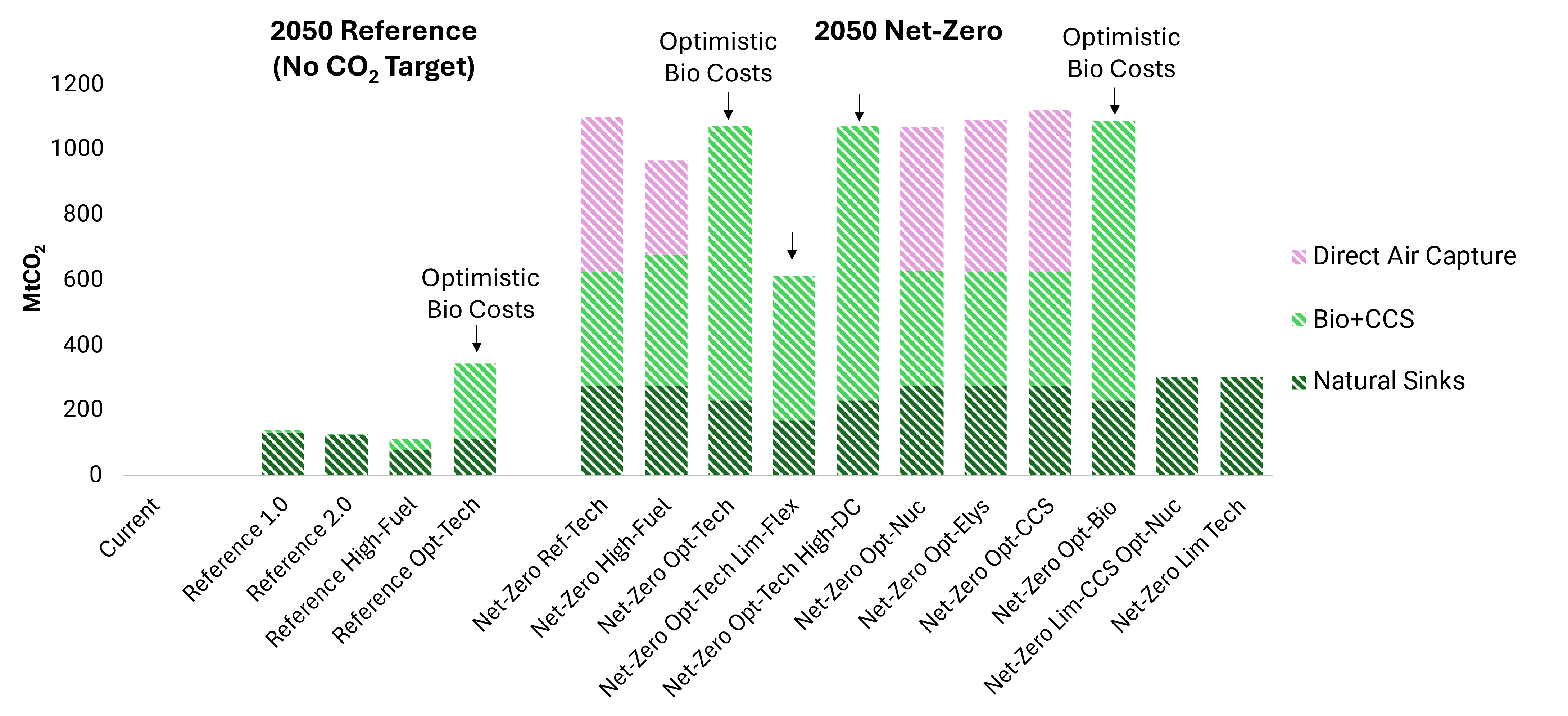 Bioenergy and Carbon Management | LCRI Net-Zero 2050